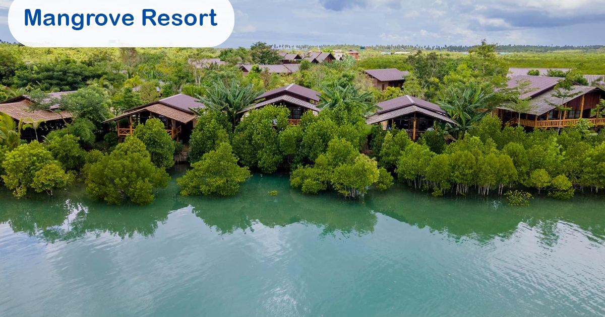 ရန်ကုန် – ငွေသောင်ယံ (Mangrove Resort) – ရန်ကုန် ခရီးစဉ် - Oway Travels ...