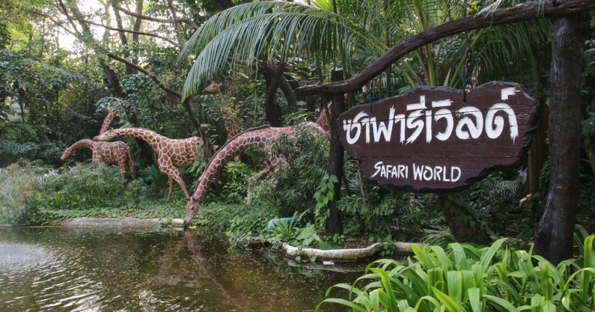 Safari World - Oway Travels & Tours